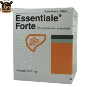 ESSENTIALE FORTE N(CAPS) - Express Delivery Worldwide fitness roids