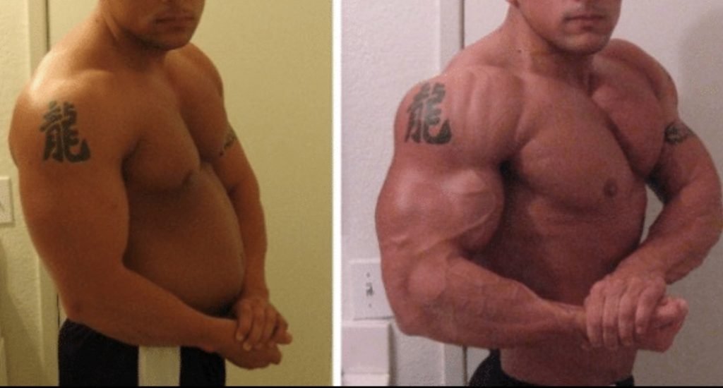 STRENGTH AND BULK STEROID CYCLE - fitness roids